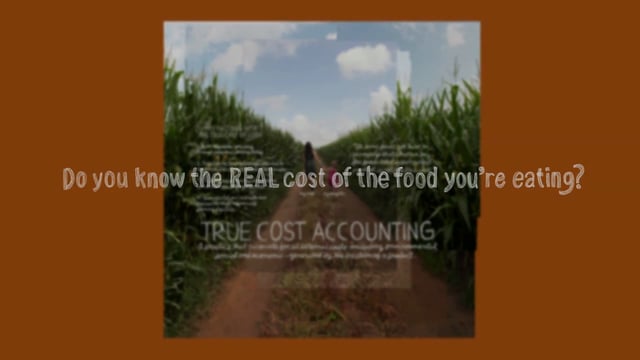 What is True Cost Accounting? | GLADE (Global Learning and Development ...